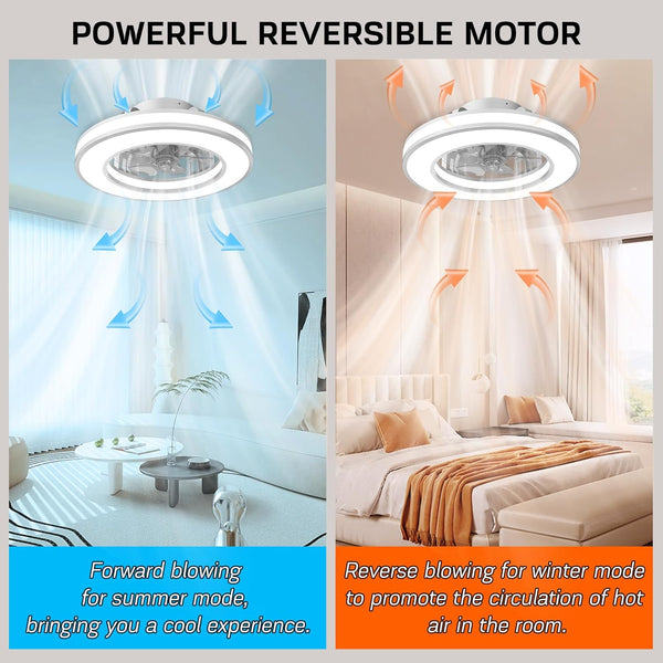 RGB LED Ceiling Fan with Remote & Quiet Reversible Motor – KfDirect